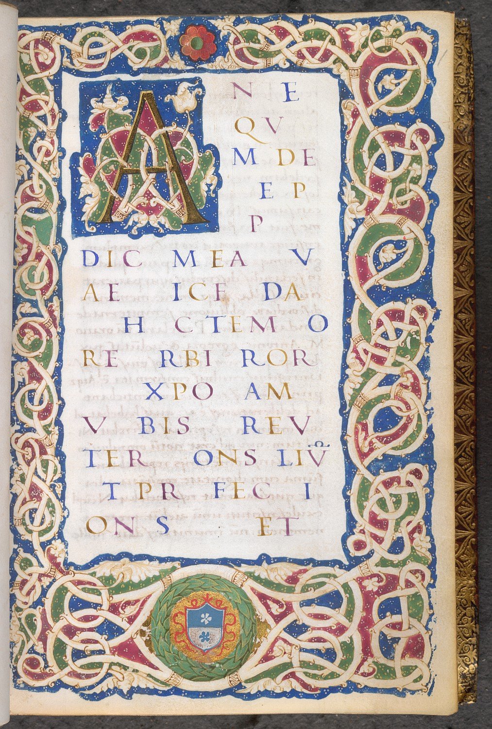 Advice for Working on Pre-Printed AoA Scrolls – Italian White Vine ...